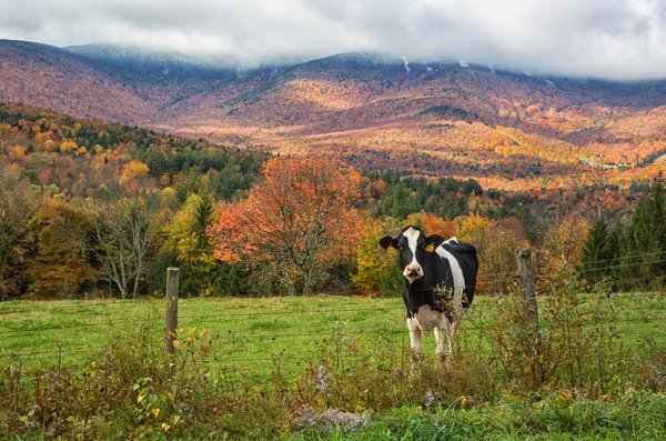 Photographing Vermont in the Fall – Route 100 | Martin Belan